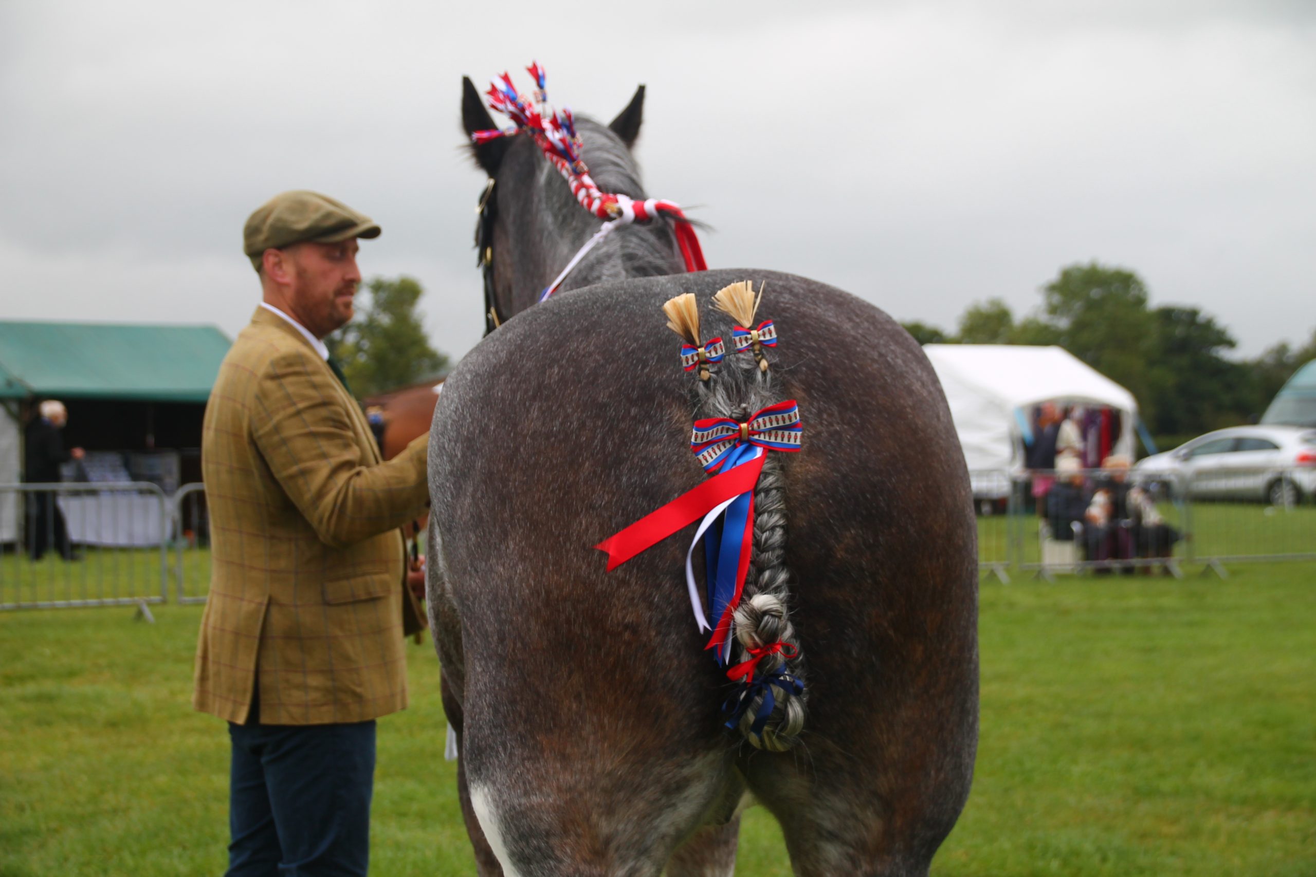 Show Classes 2023 - photos by Charlie Kitching - Wessex Heavy Horse Society