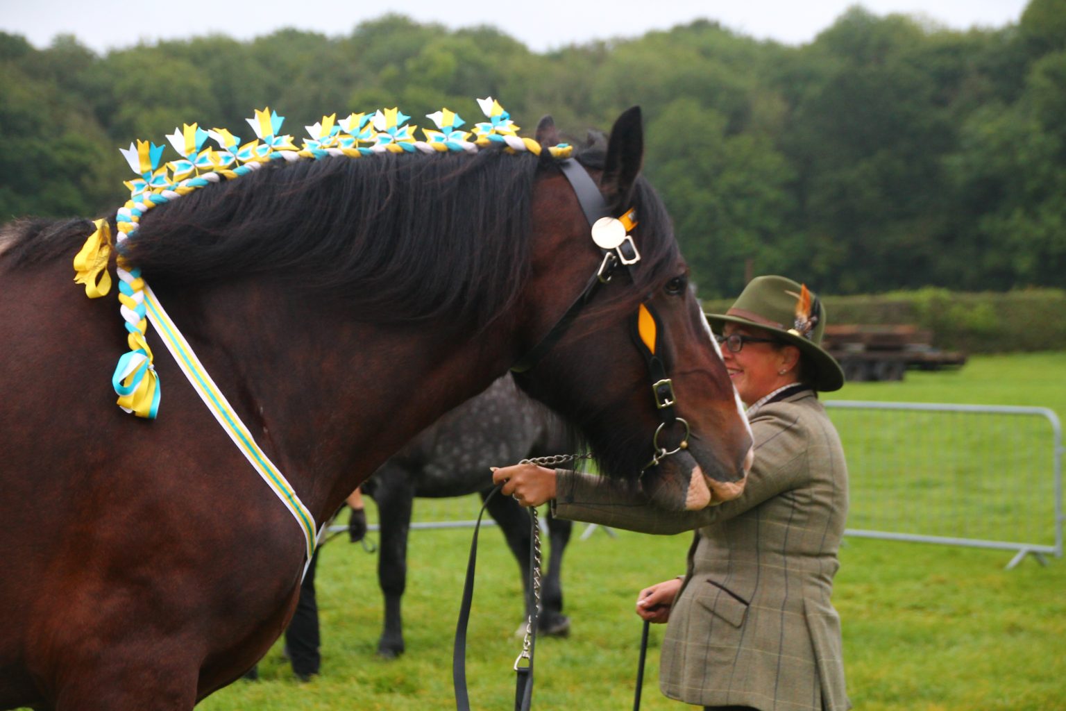 Show Classes 2023 - photos by Charlie Kitching - Wessex Heavy Horse Society