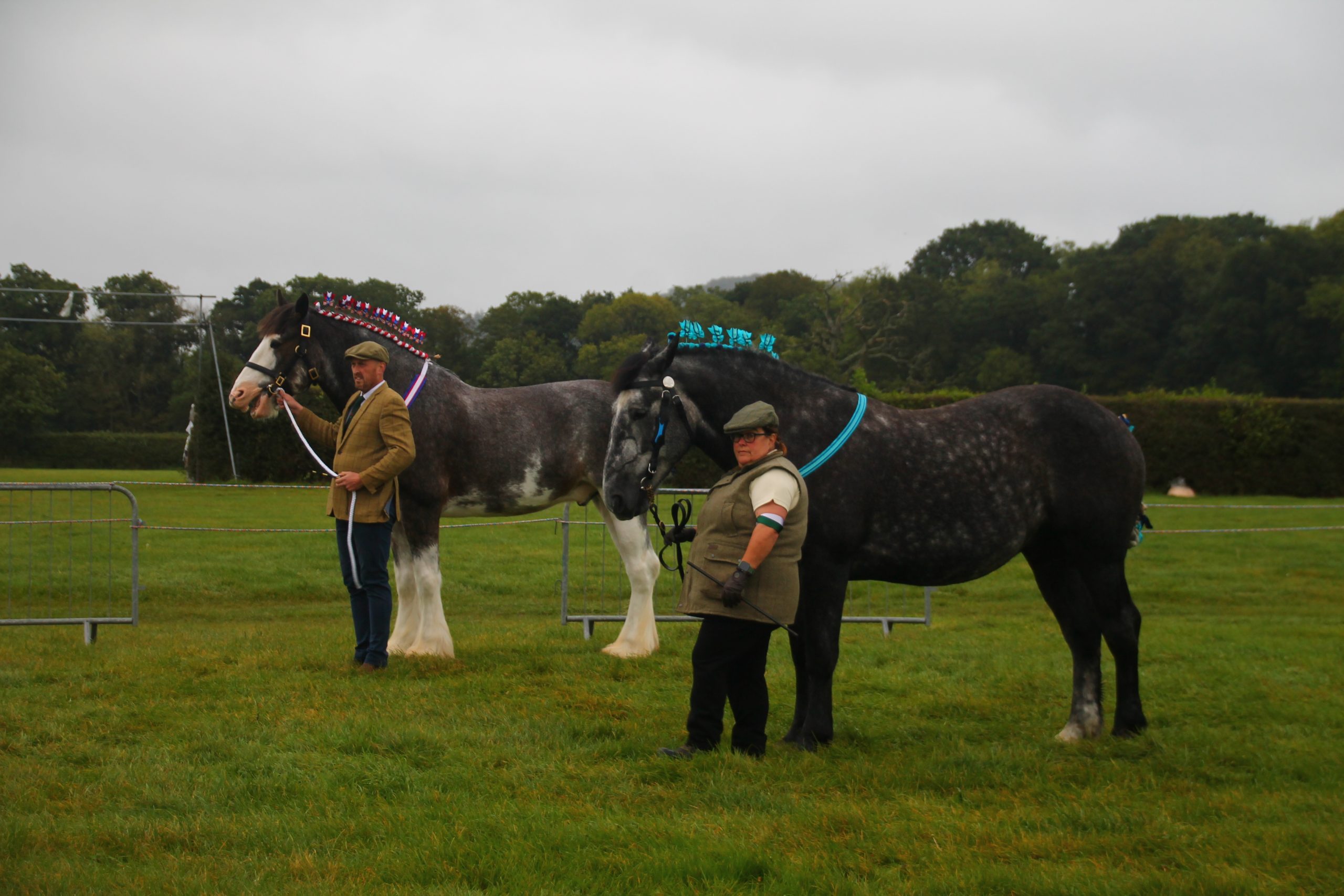 Show Classes 2023 - photos by Charlie Kitching - Wessex Heavy Horse Society
