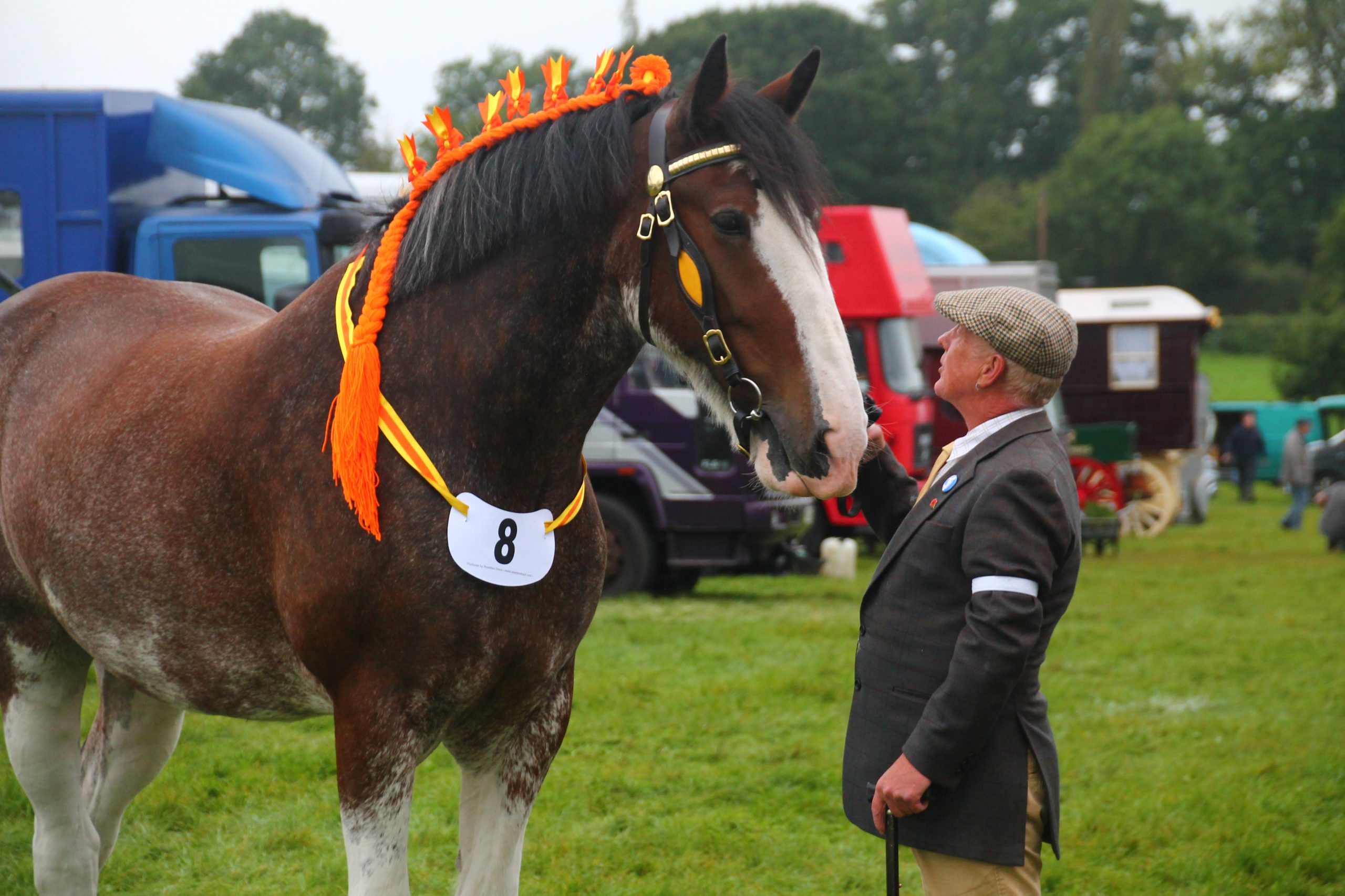 Show Classes 2023 - photos by Charlie Kitching - Wessex Heavy Horse Society