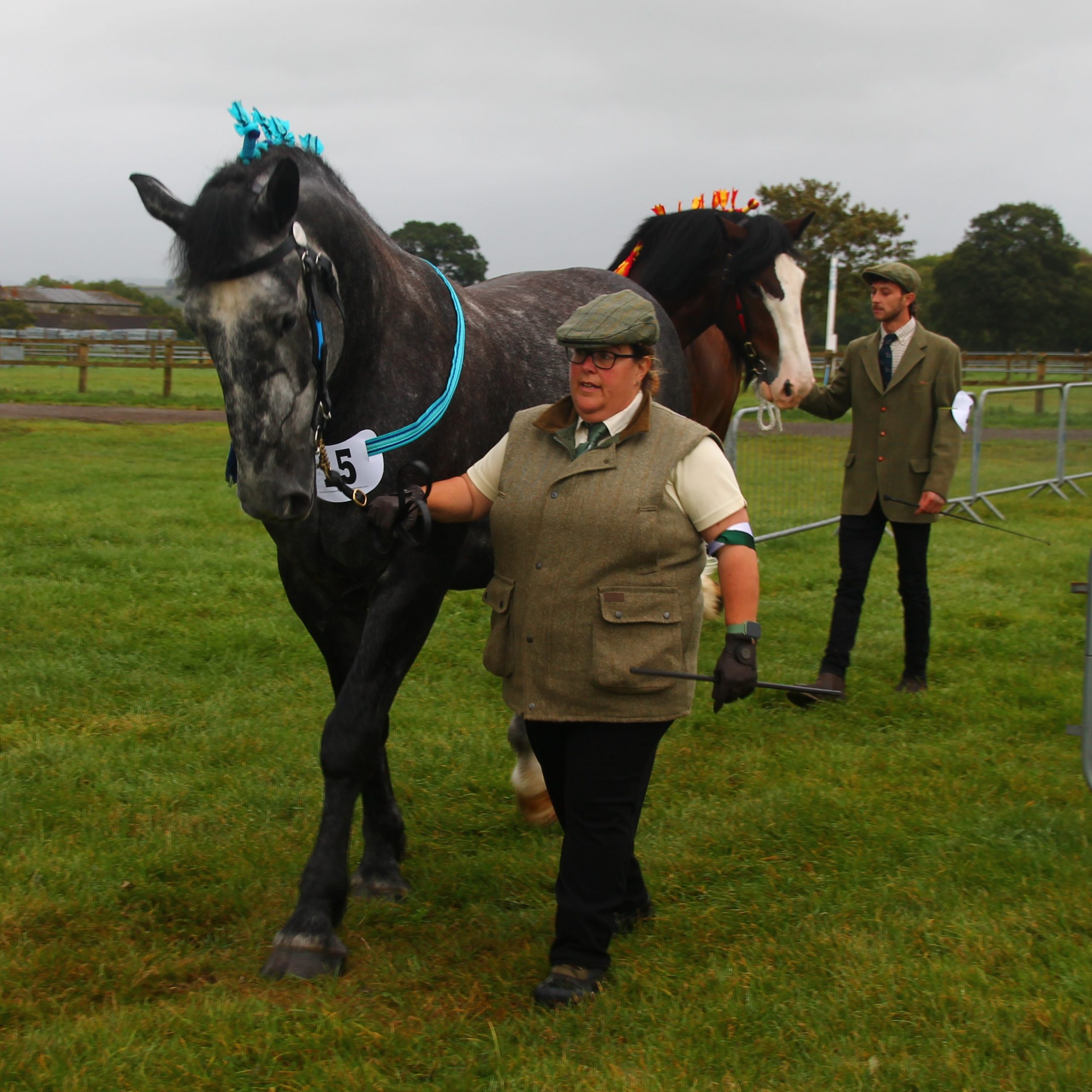 Show Classes 2023 - photos by Charlie Kitching - Wessex Heavy Horse Society