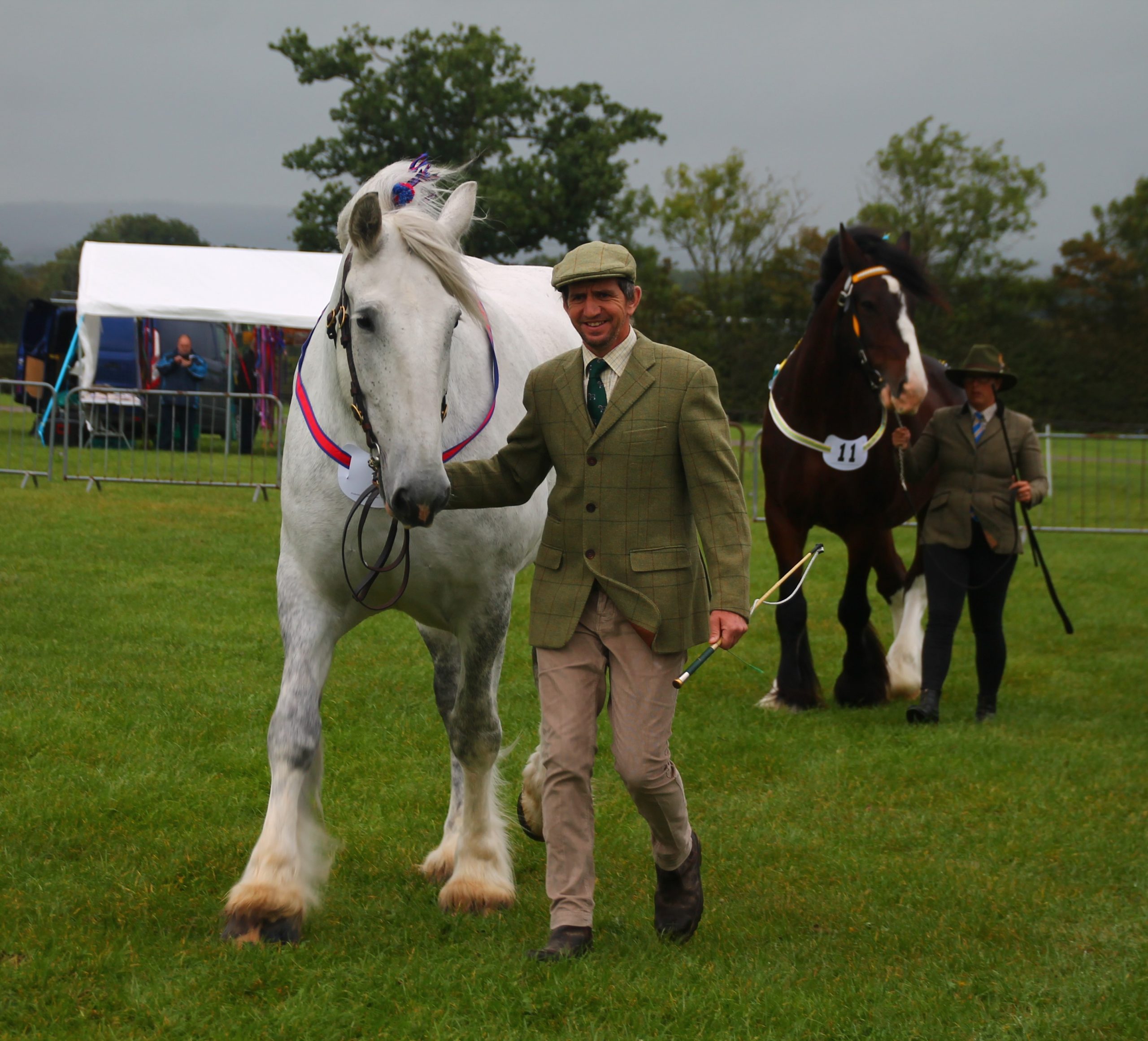 Show Classes 2023 - photos by Charlie Kitching - Wessex Heavy Horse Society