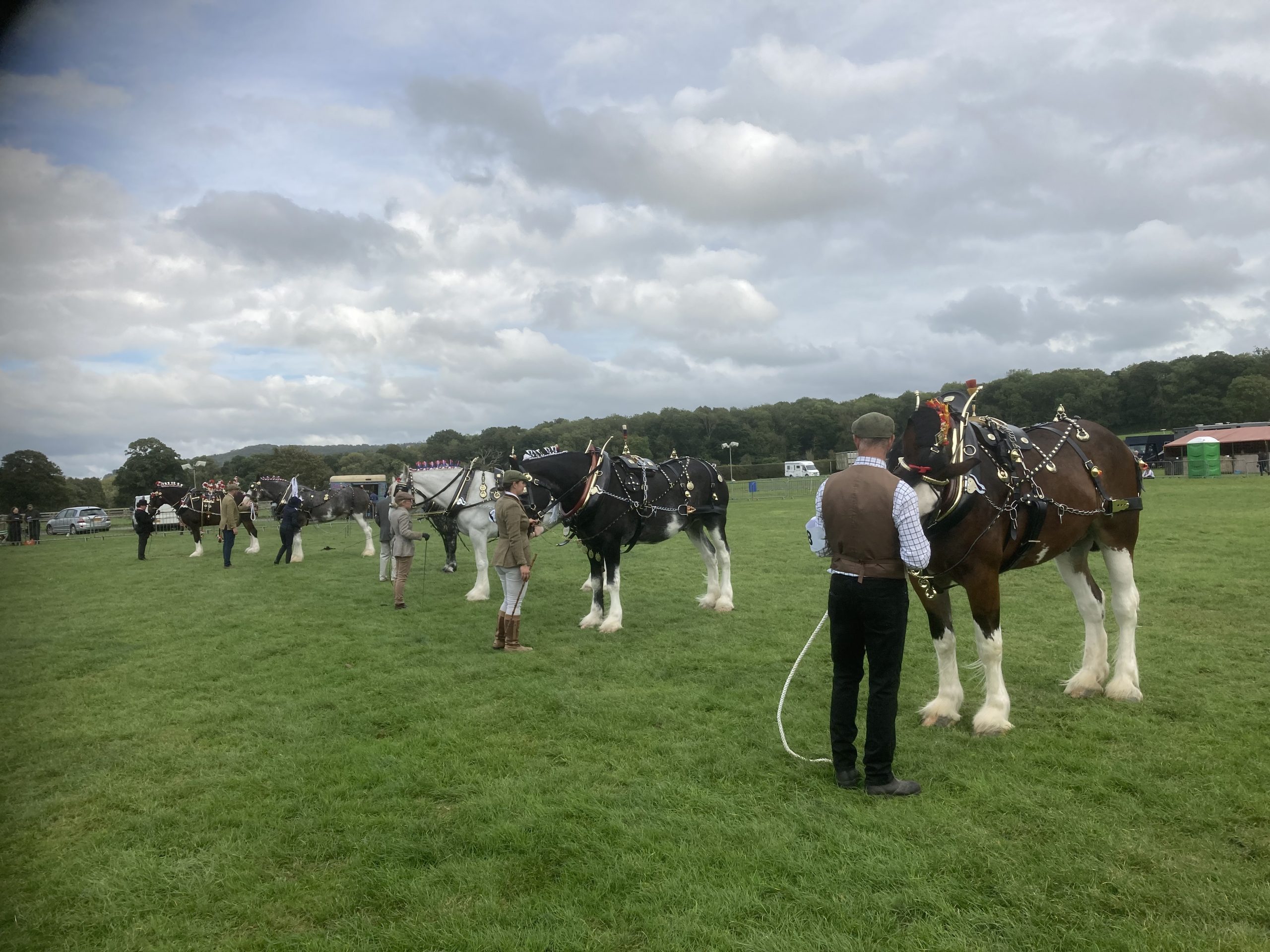 Show Classes 2023 - photos by Charlie Kitching - Wessex Heavy Horse Society