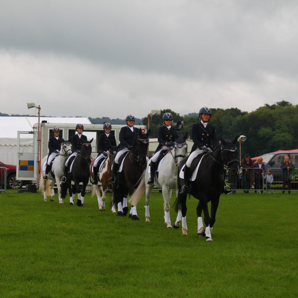 Show classes 2024. Photos by Charlie Kitching - Wessex Heavy Horse Society